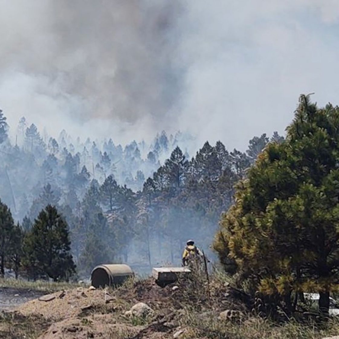 Custer State Park wildfire still burning - Rapid City Daily